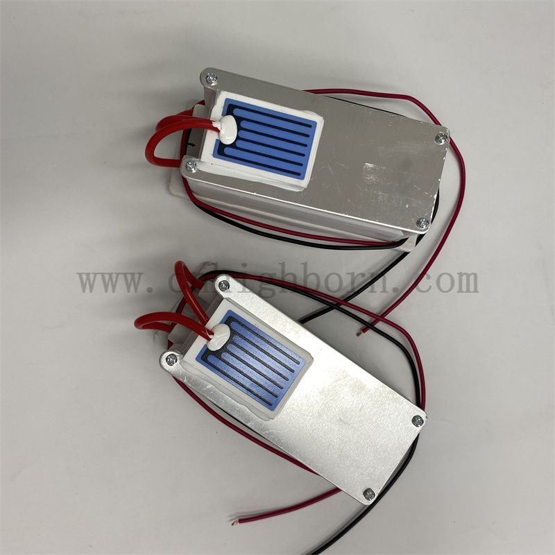 220V 1g/H ceramic sheet ozone generator module air purifier O3 ozonator ...