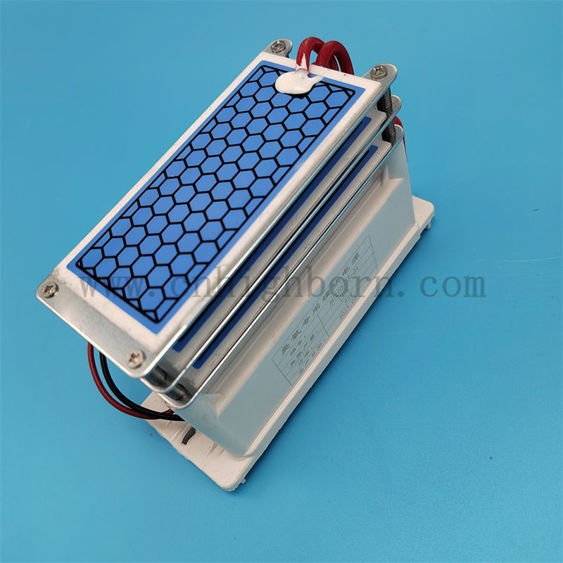 Ceramic sheet 15g/H ozone generator module for air cleaner ozonator machine - Buy ozonator ...